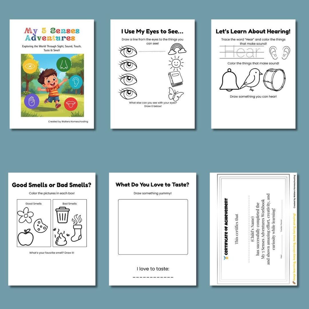 5 Senses Workbook Printable for Preschool Kids With Activities on Sight ...