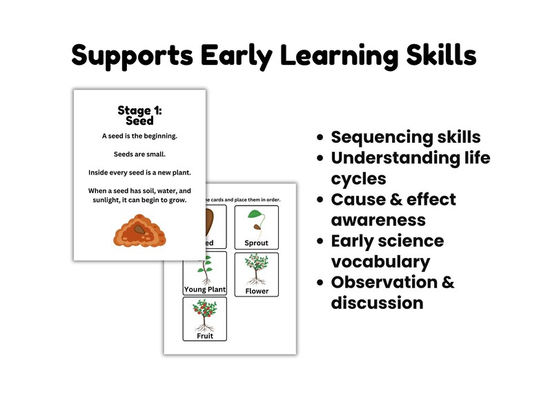 Plant Life Cycle Sequencing Cards | Preschool Science Activity (digital ...