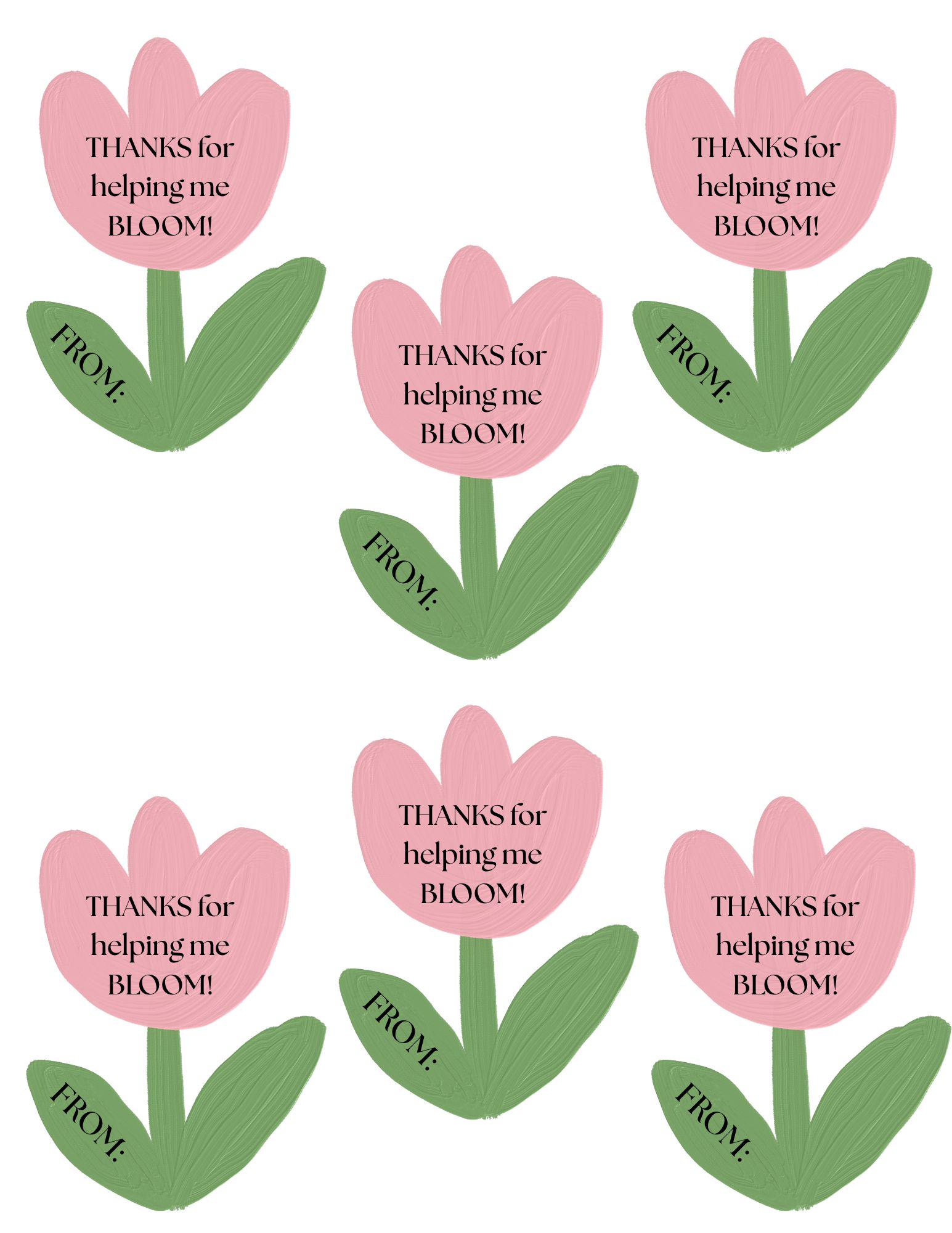 Teacher Appreciation Tag - Etsy