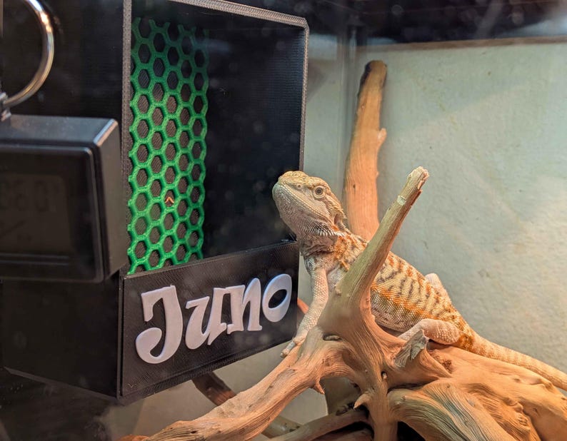 Personalized Live Insect Feeder for Reptiles - Customizable Food Box ...