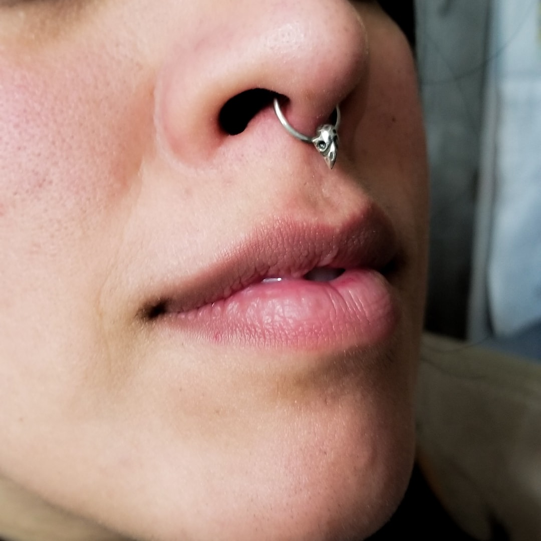 Tiny Bird Skull Septum Piercing, Body Jewelry, Skull Nose Ring, Raven ...
