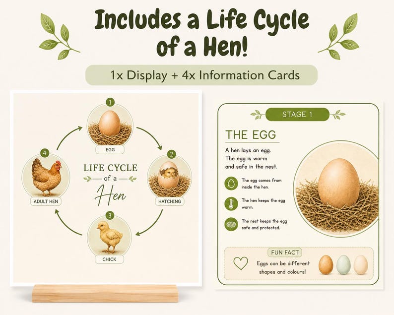 Nature Life Cycles Classroom Posters, 6 Science Learning Displays ...