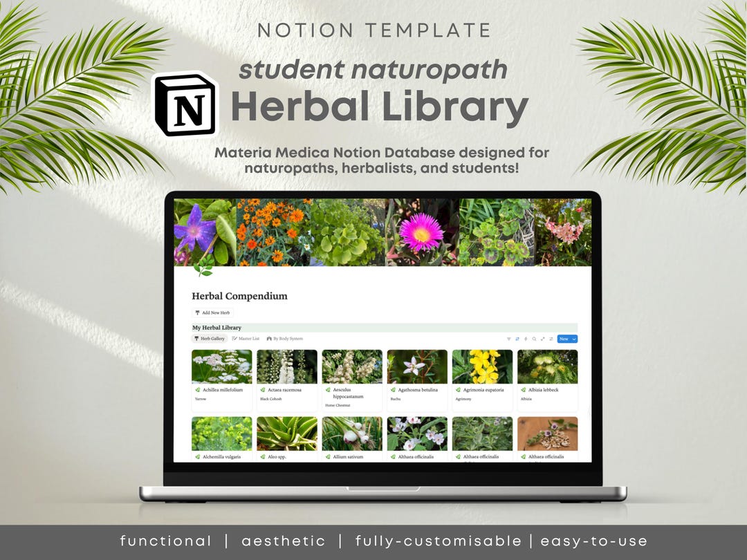 Herbal Library Notion Template (digital Download) | Materia Medica ...