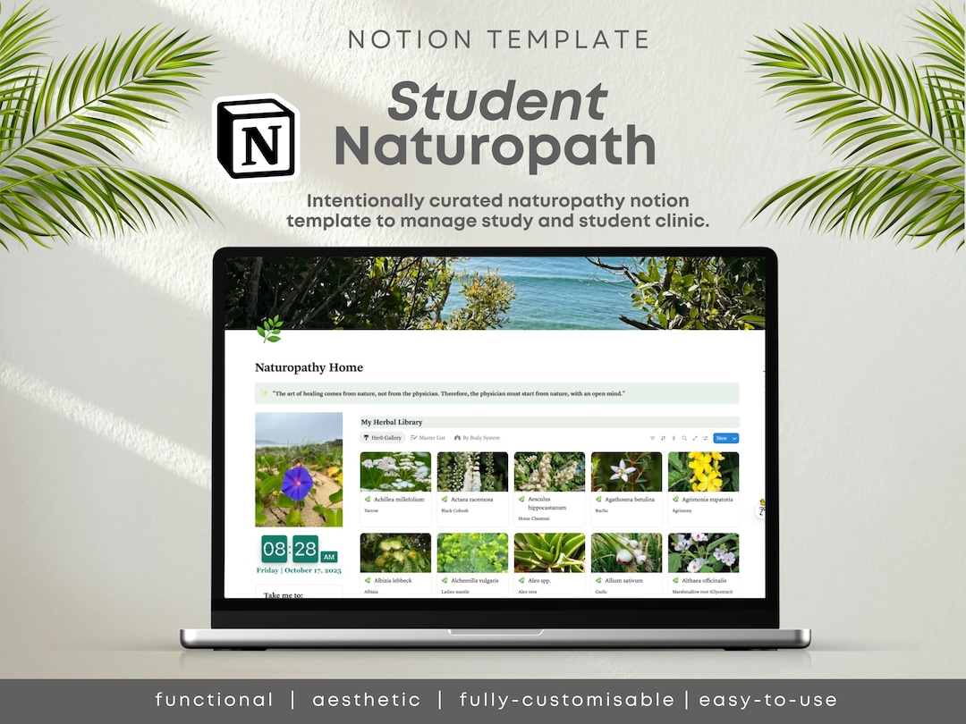 Student Naturopath Notion Template (digital Download) - Etsy Australia