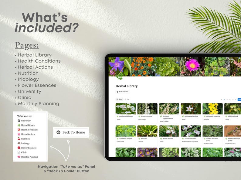 Student Naturopath Notion Template (digital Download) - Etsy Australia
