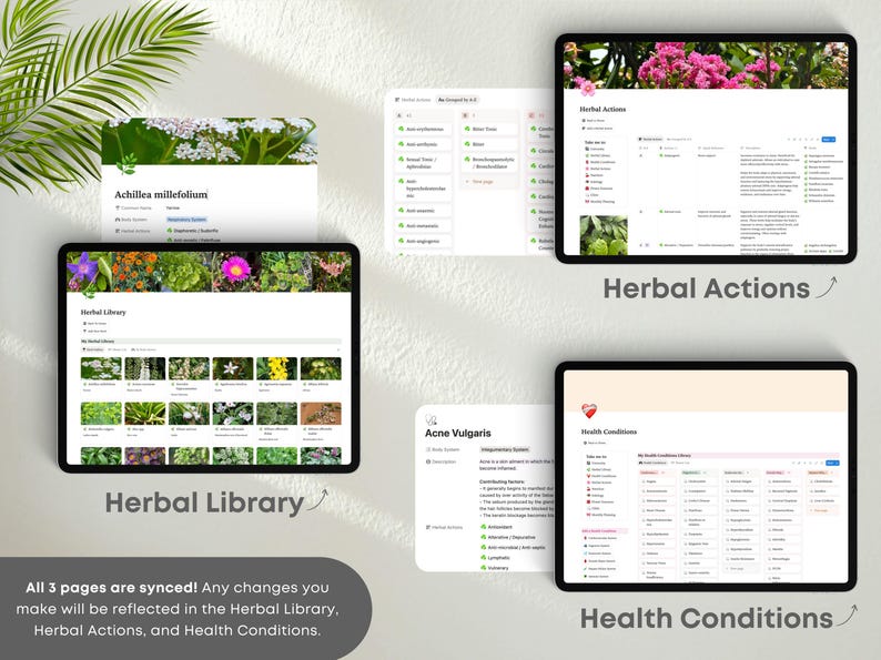 Student Naturopath Notion Template (digital Download) - Etsy Australia