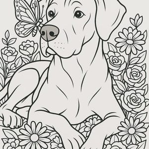 20 Childrens Coloring Pages of Animals in Nature Kids - Etsy Canada