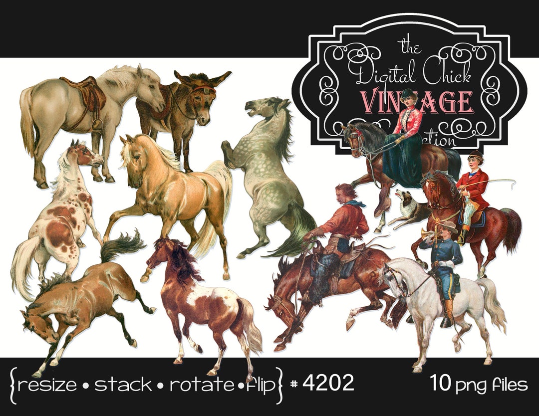 Digital Clipart, Instant Download, Vintage Horses, Wild Horses, Bucking ...