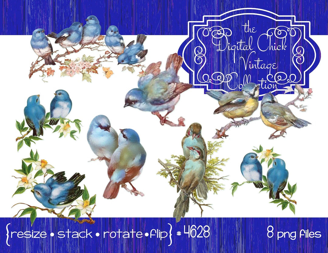 Vintage Bird Clipart, Printable Instant Digital Download, Bird Clip Art ...