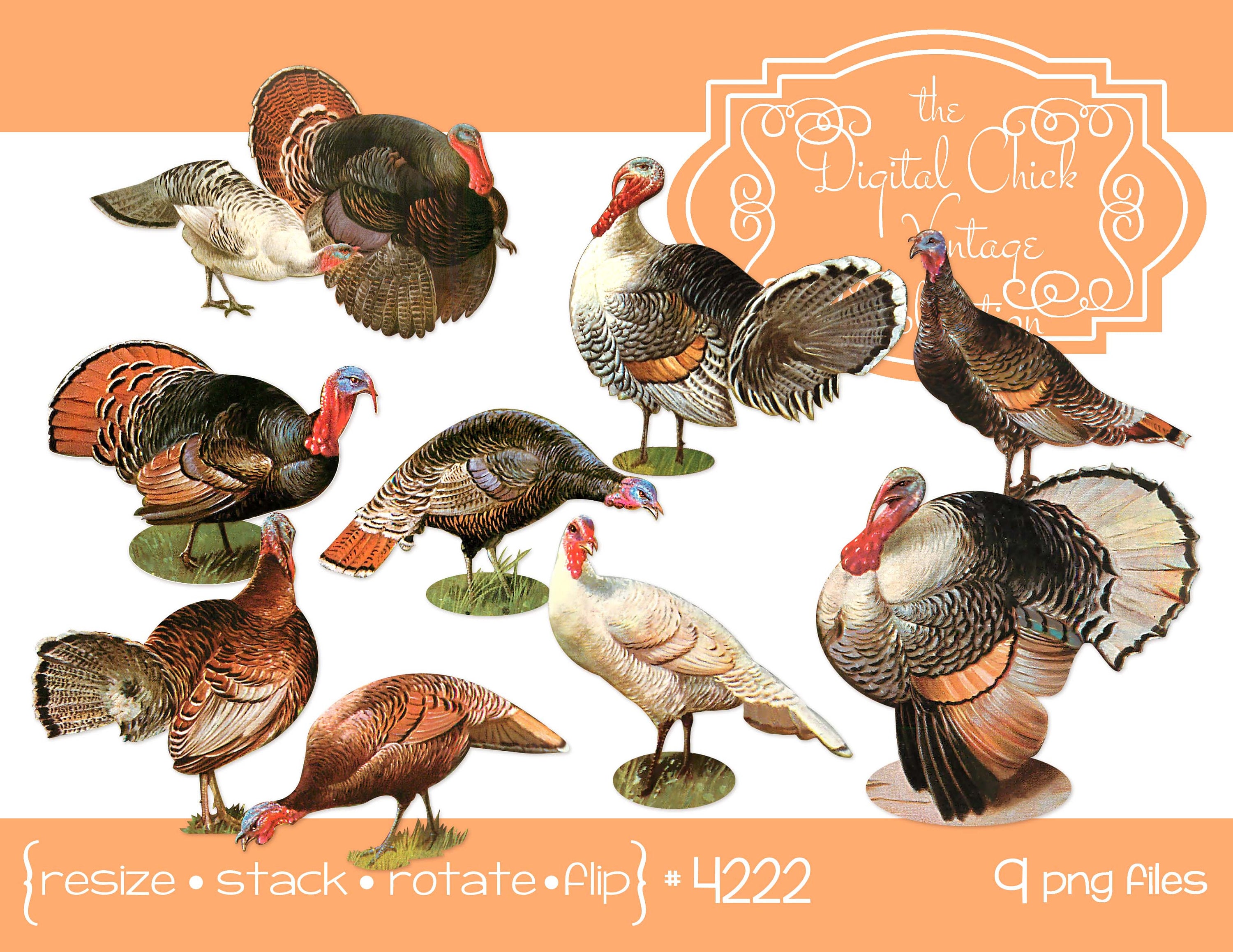 Digital Clipart Instant Download Vintage Thanksgiving Turkey - Etsy