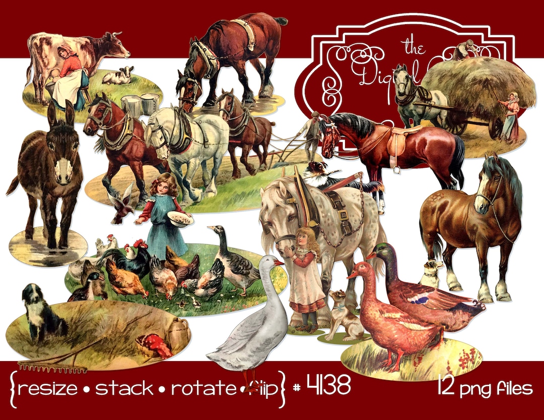 Vintage Farm Life Clipart: Animals, Draft Horse, Pony (12 PNG Files) - Etsy