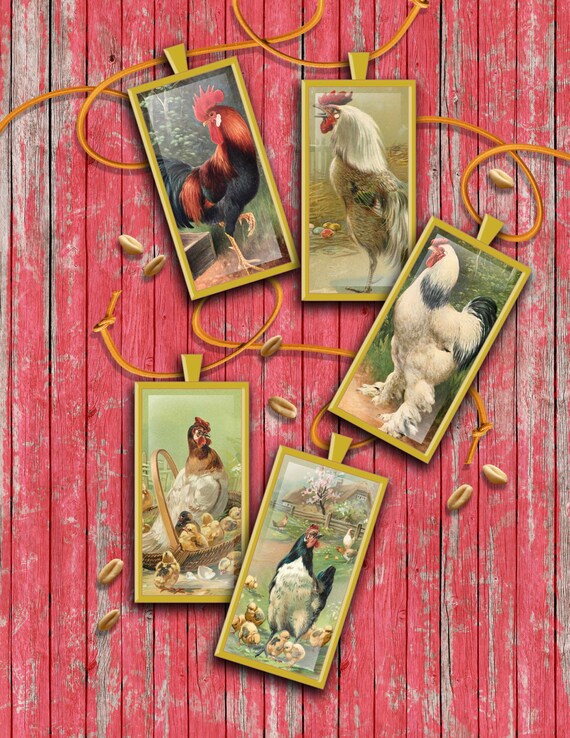 Embellishments Paper, Party & Kids hens roosters Digital Collage Sheet ...