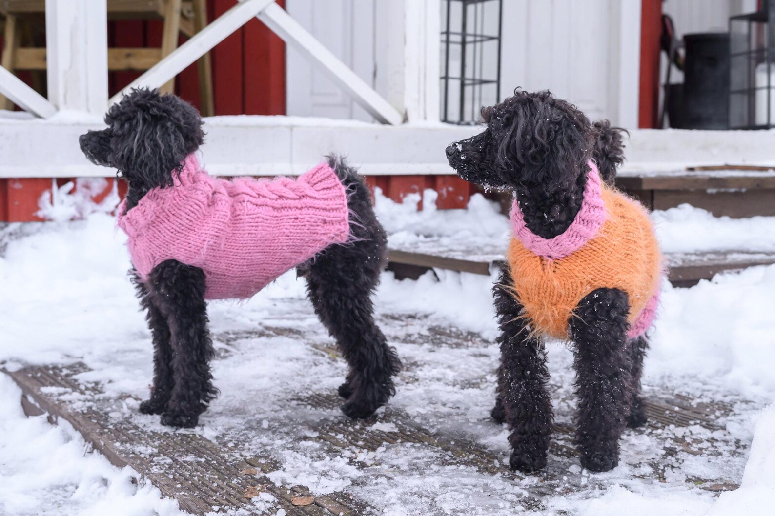 Easy Chunky Dog Sweater Pattern for Small & Large Dogs (digital PDF) - Etsy