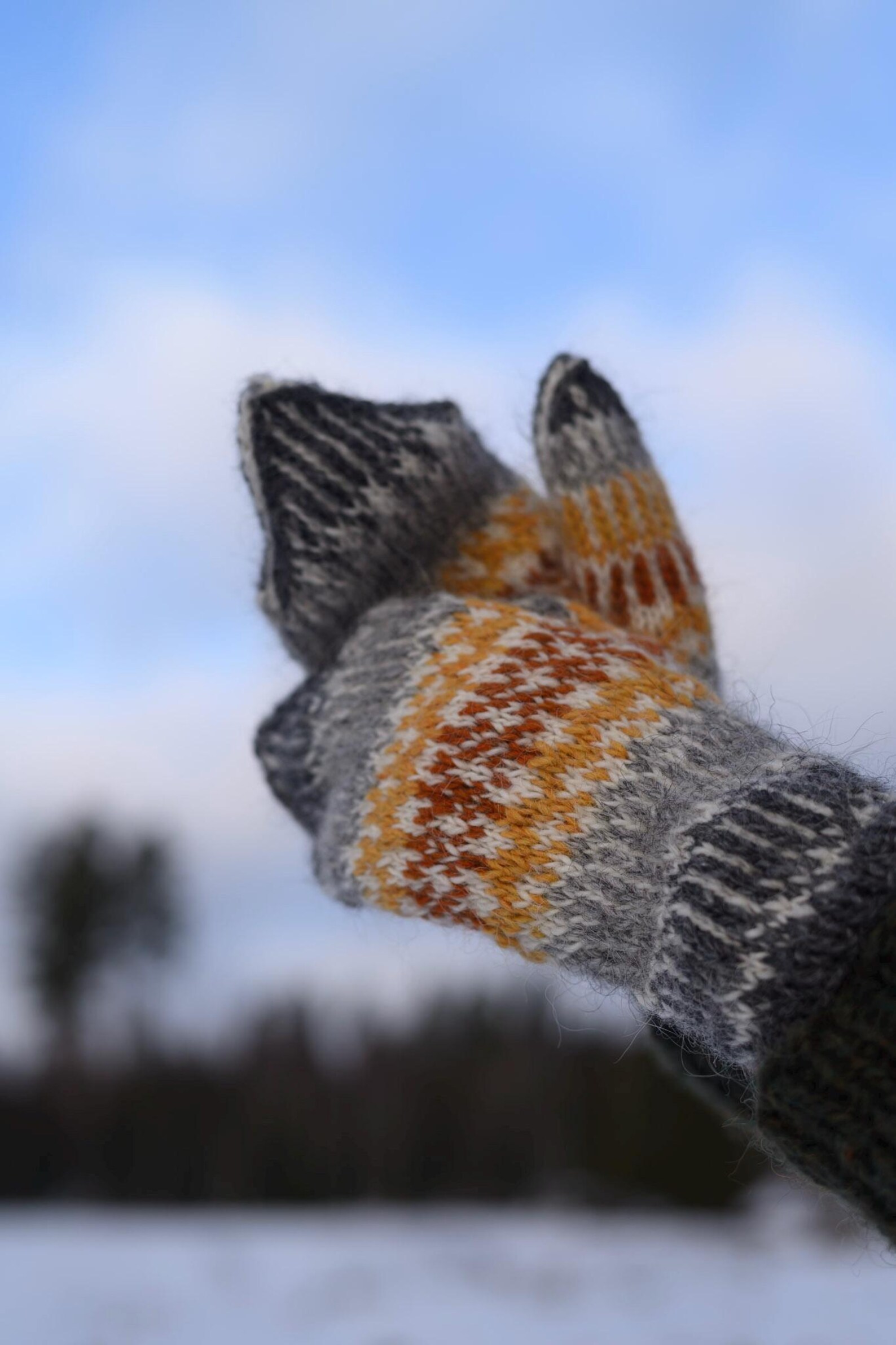 Nordic Colorwork Mittens: PDF Knitting Pattern - Etsy