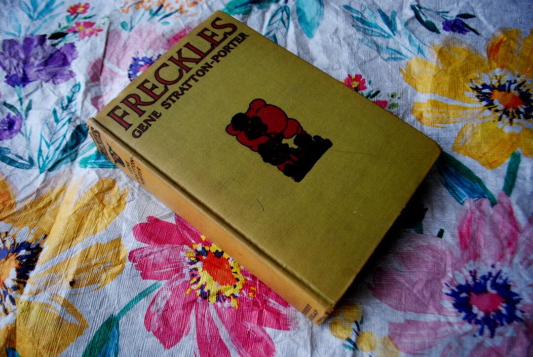 1904 Vintage Famous , First Edition Book Freckles by Gene Stratton ...