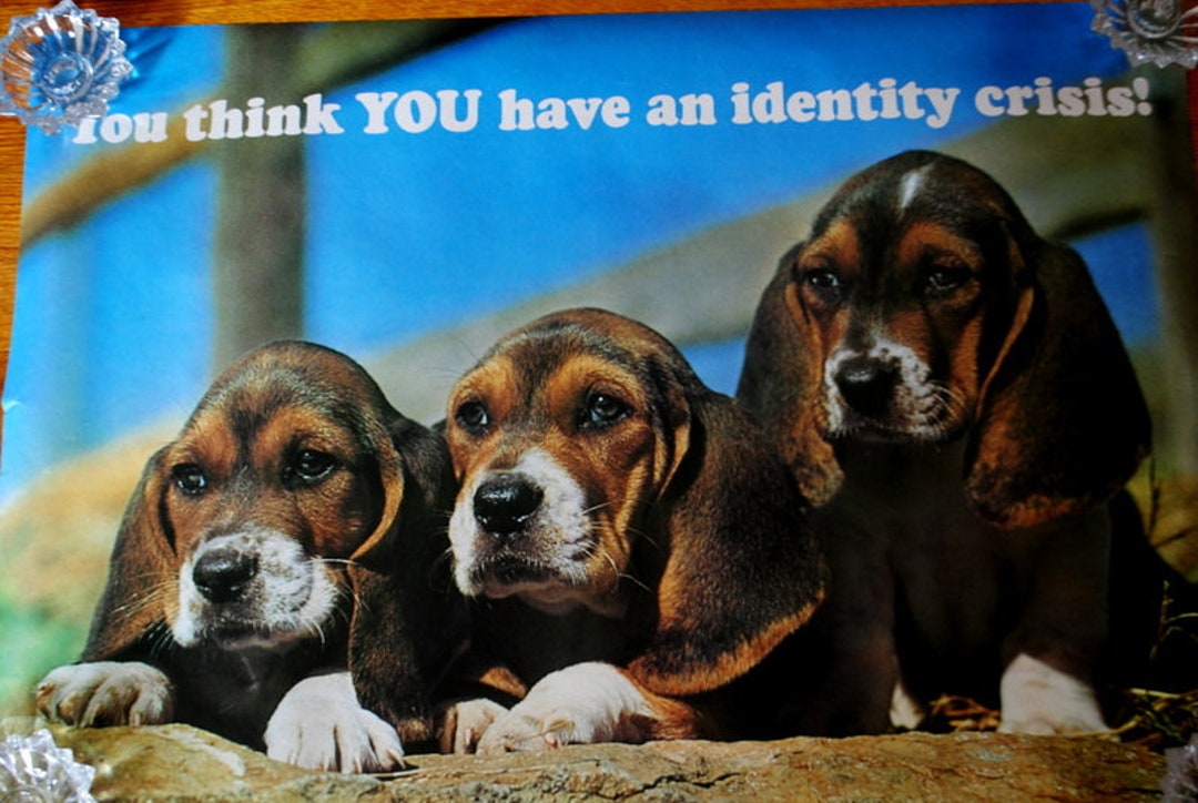 1980 Vintage , Cute Lithograph, Photo Poster" You Think You Have an ...