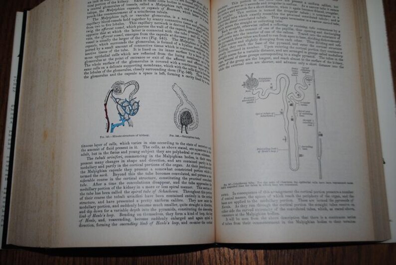 1977 Vintage , Medicine , Famous , Large Book, the Classic Collector's ...