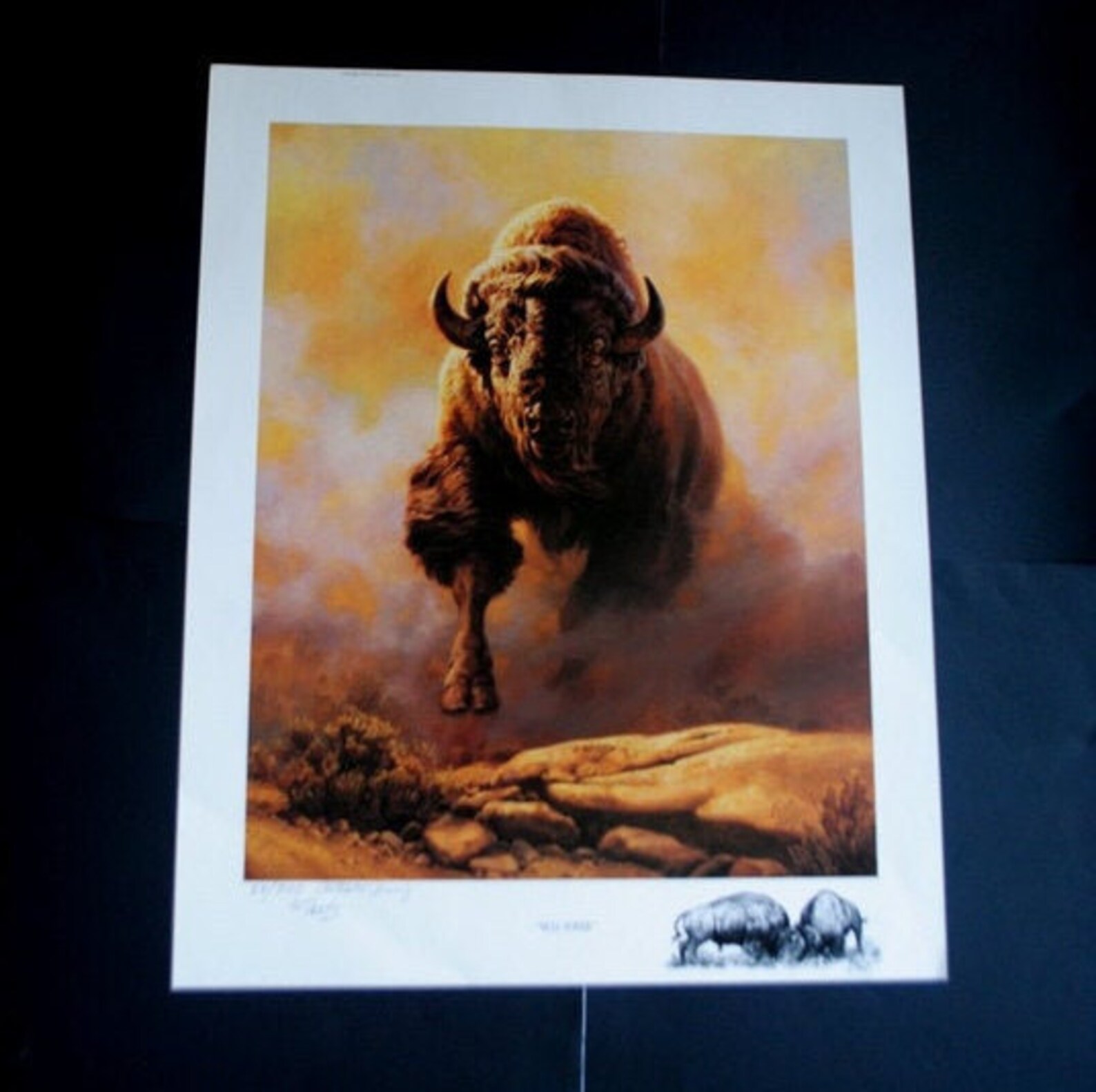 Authentic Vintage 1991, Original, Lithograph , Limited Edition, #33 / ...