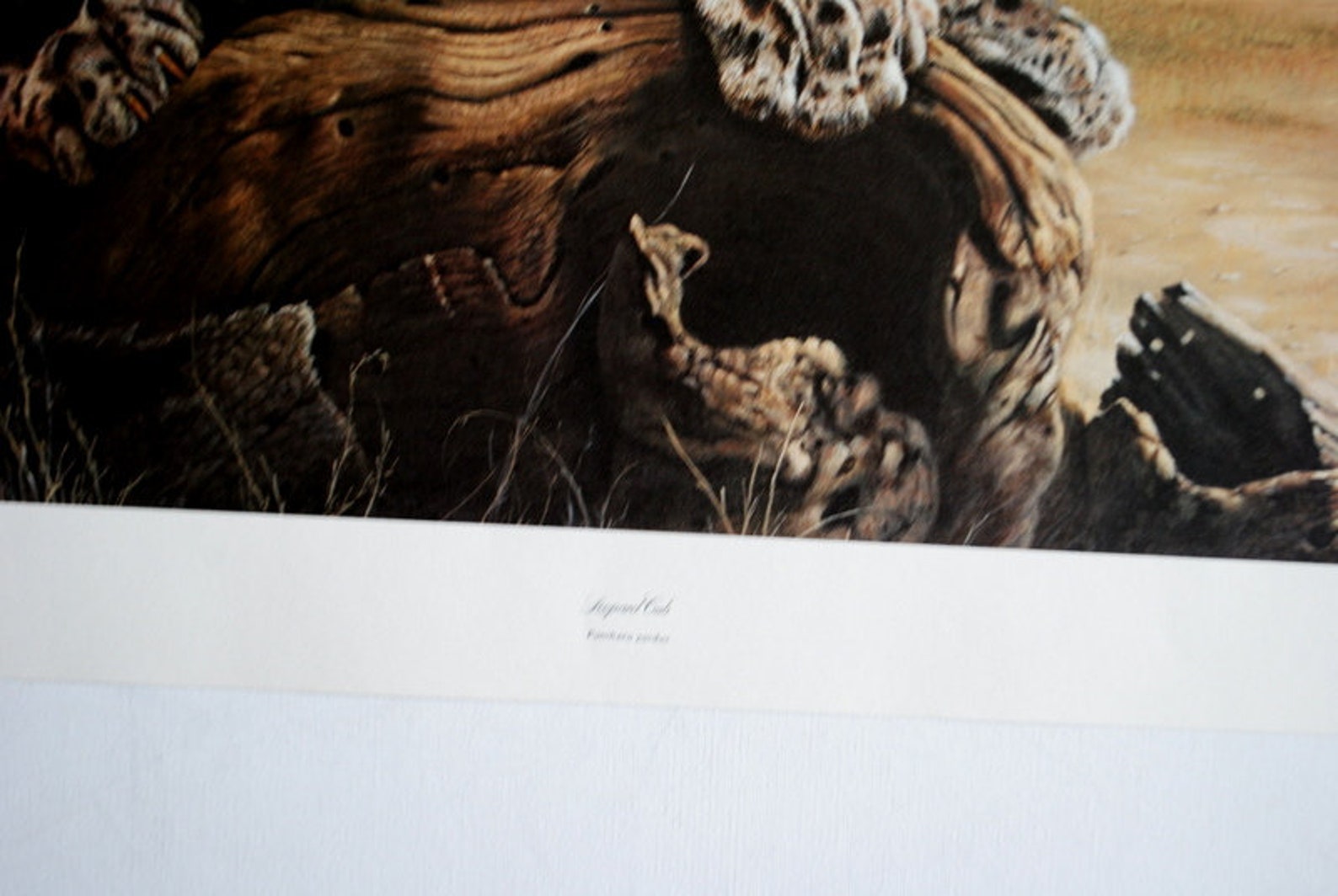 Original Vintage 70s Limited Edition Lithograph Signed Art | Etsy