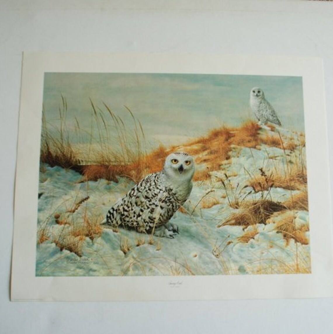 Original Vintage 70s Limited Edition Lithograph Art - Etsy