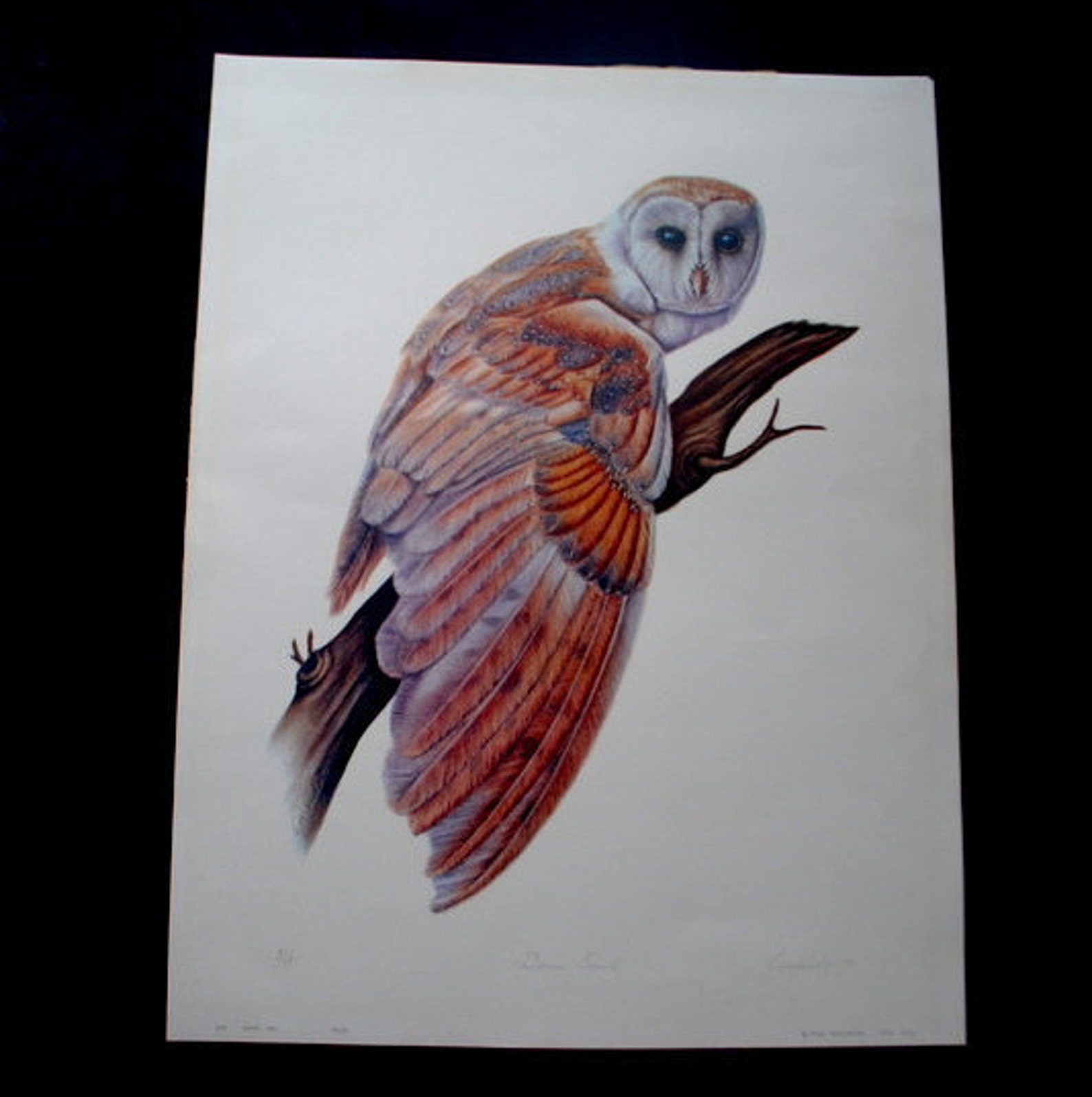 Collectible Vintage 1979s, Original, Serigraph/silk Screen , Limited ...