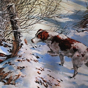 1977 Vintage Beautiful , Lithograph Art Print " English Springer ...