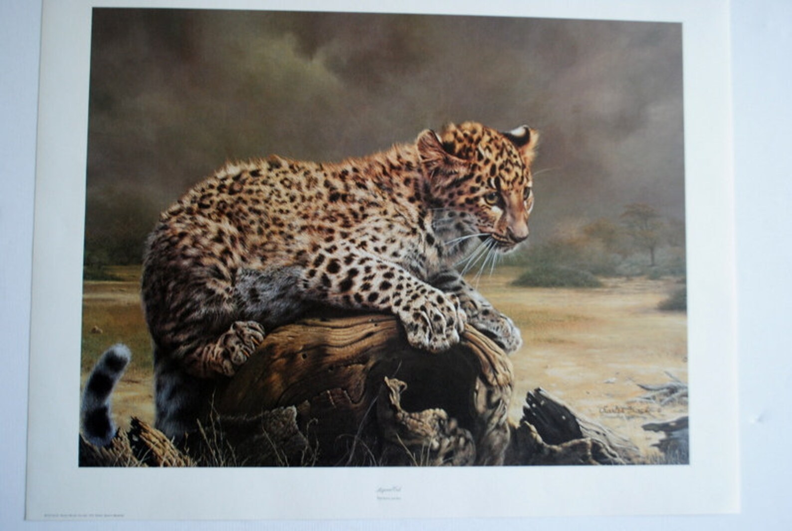 Original Vintage 70s Limited Edition Lithograph Signed Art | Etsy