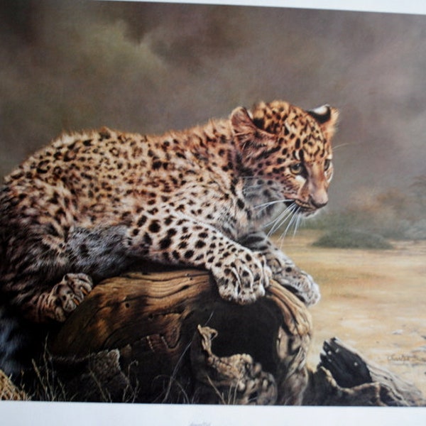 Charles Frace - Etsy