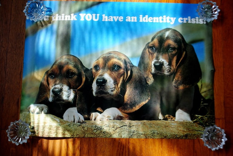 1980 Vintage , Cute Lithograph, Photo Poster" You Think You Have an ...
