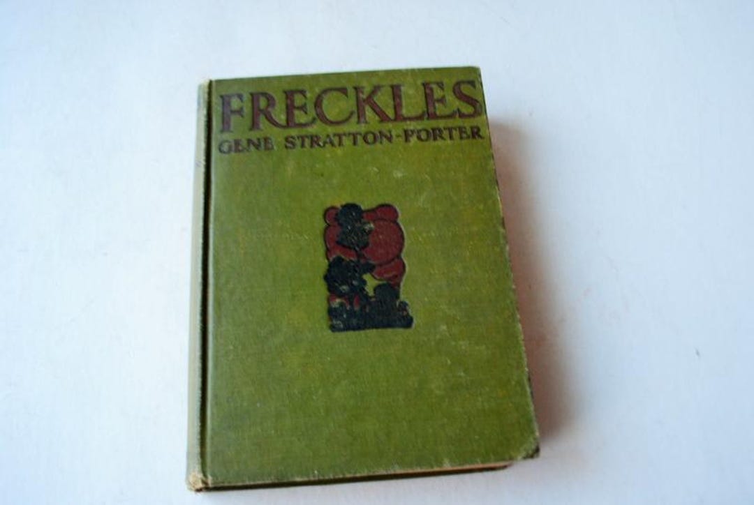 1904 Vintage Famous , First Edition Book " Freckles" by Gene Stratton ...