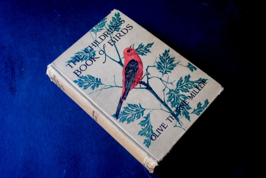 1901 Vintage First Edition Book " the Children's Book of Birds" by ...