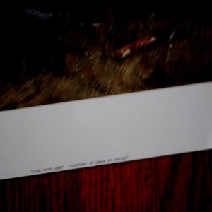 1991 Vintage Unique Lithograph , Large Art Print " " Girl With Lamb" by ...