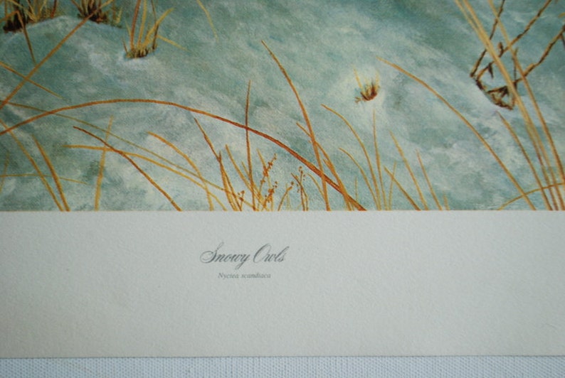 Original Vintage 70s Limited Edition Lithograph Art - Etsy