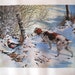 1977 Vintage Beautiful , Lithograph Art Print " English Springer ...