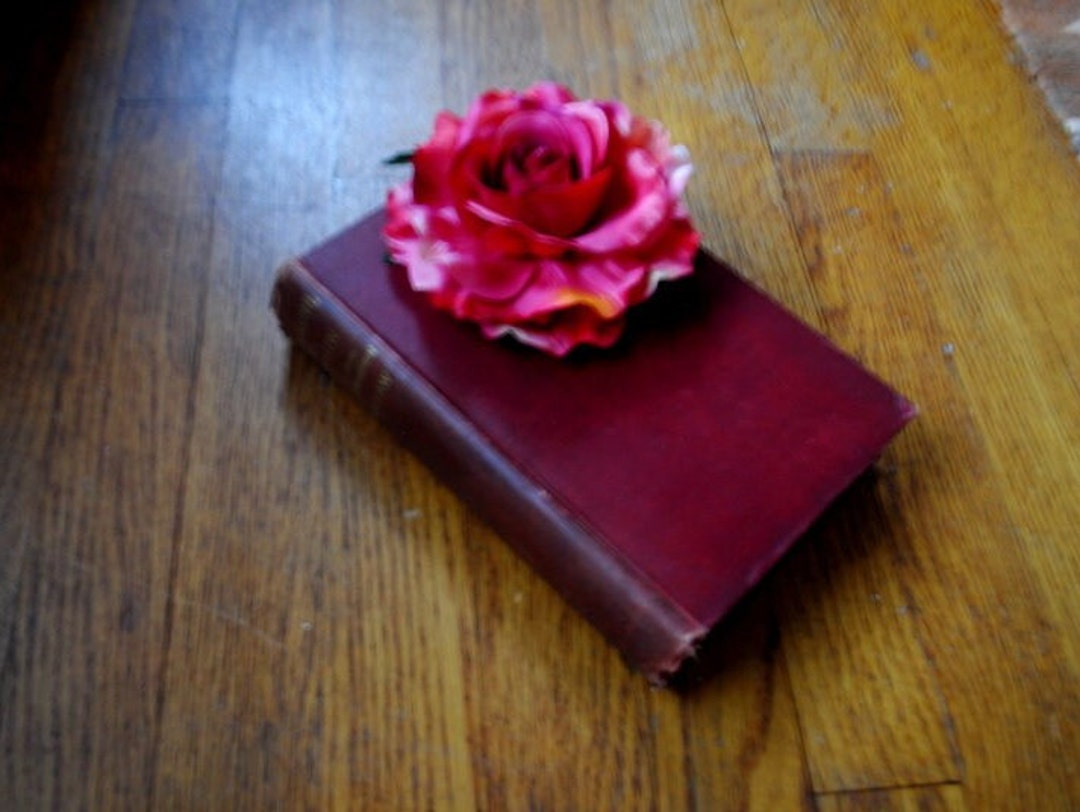 1888 Vintage, First , Revised Edition Religious Book" the Gospel of St ...