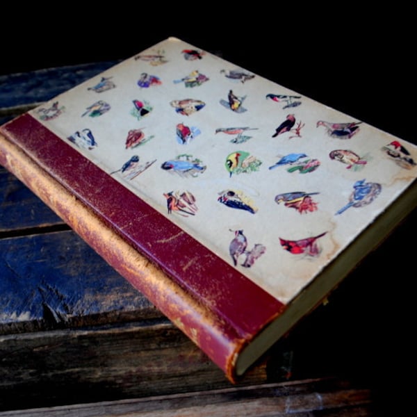 Vintage Bird Book - Etsy