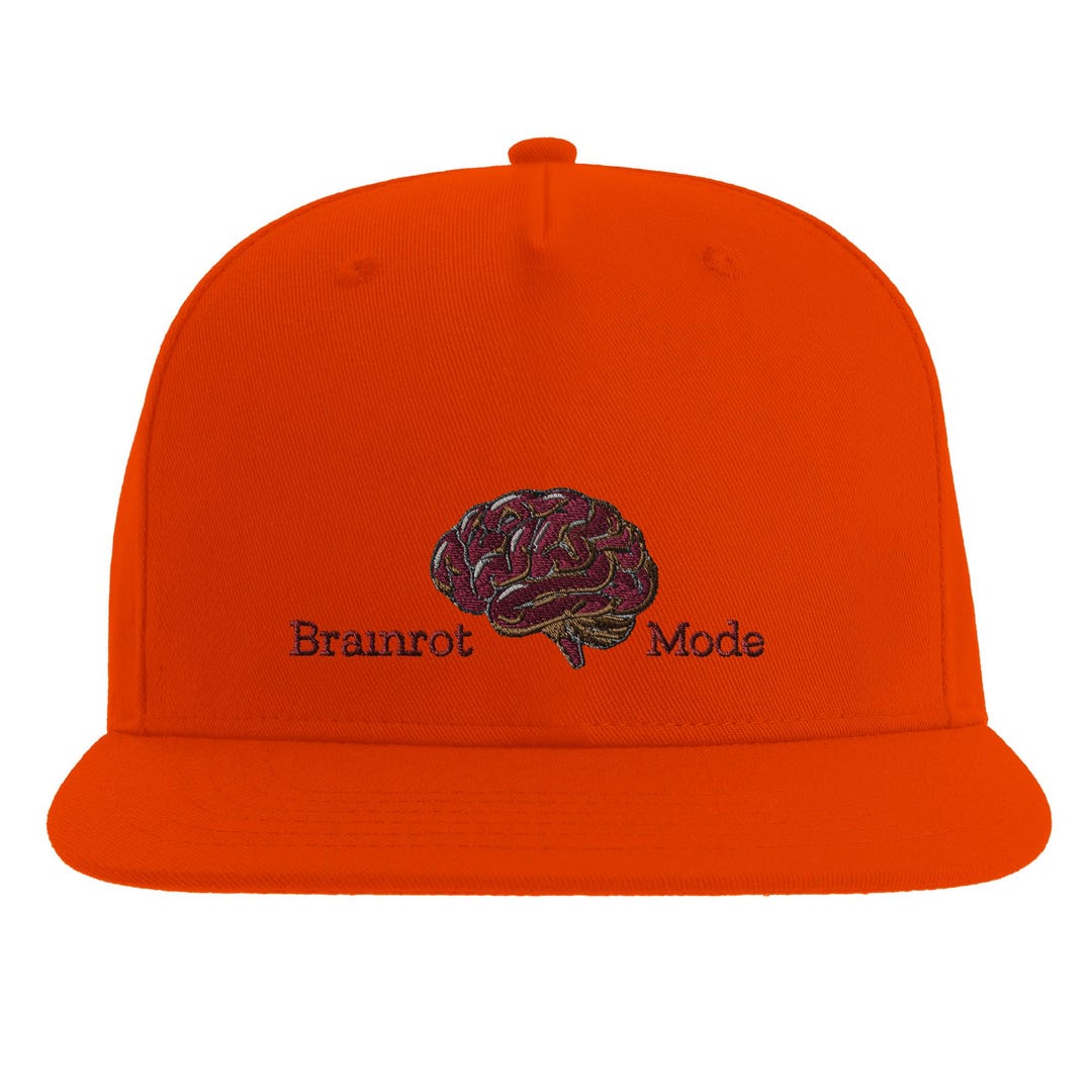 Brainrot Mode 5 Panel Retro Snapback Cap | Beechfield B610 - Etsy