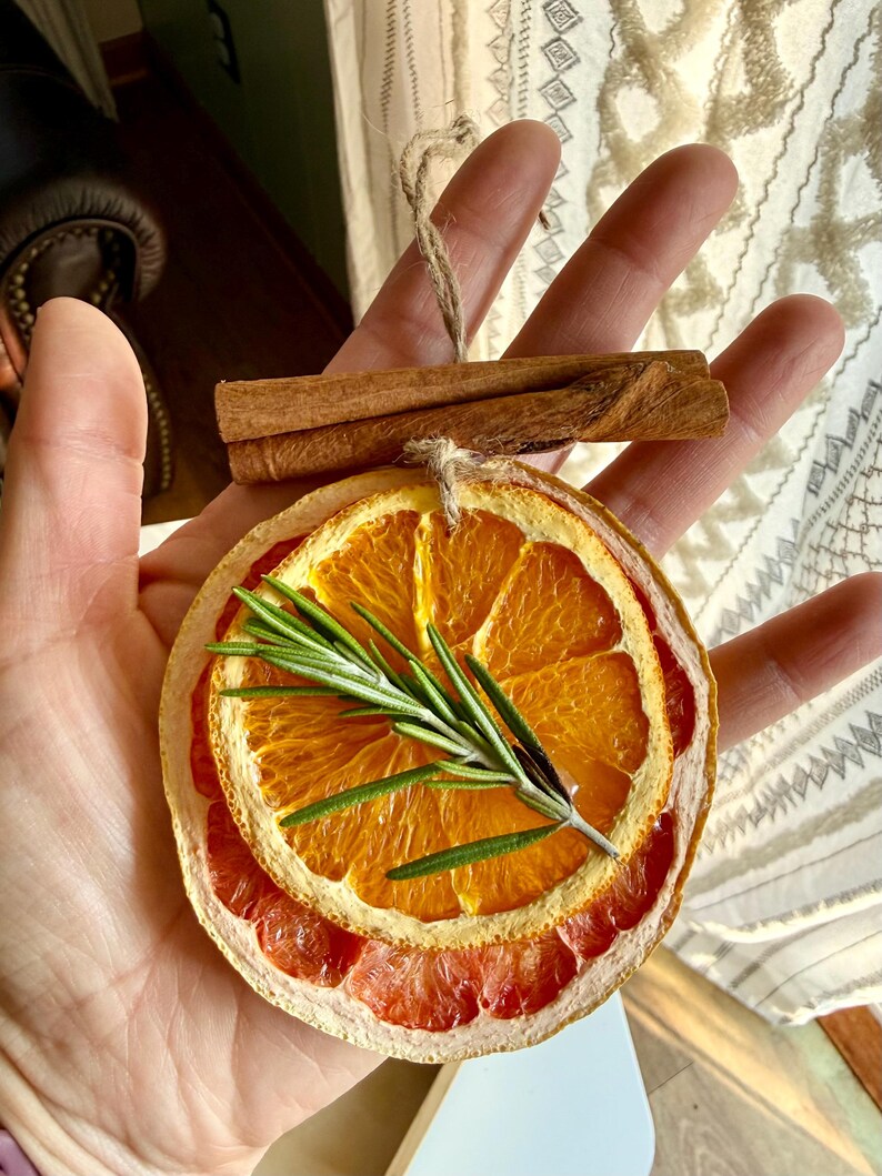 All Natural Dried Orange & Grapefruit Ornament - Etsy