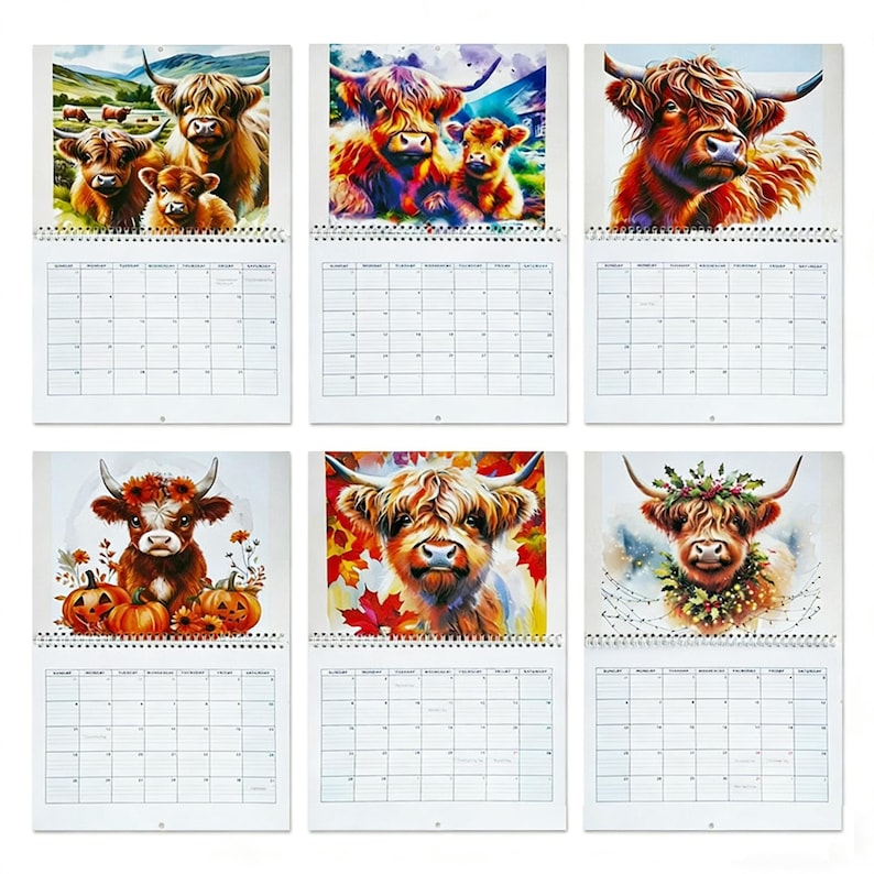 Highland Cow Calendar 2026 - Adorable Scottish Cow Wall Calendar Funny ...