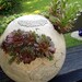 Large Ceramic Ball Planter, Natural Clay Planter Pot, Outdoor Round ...