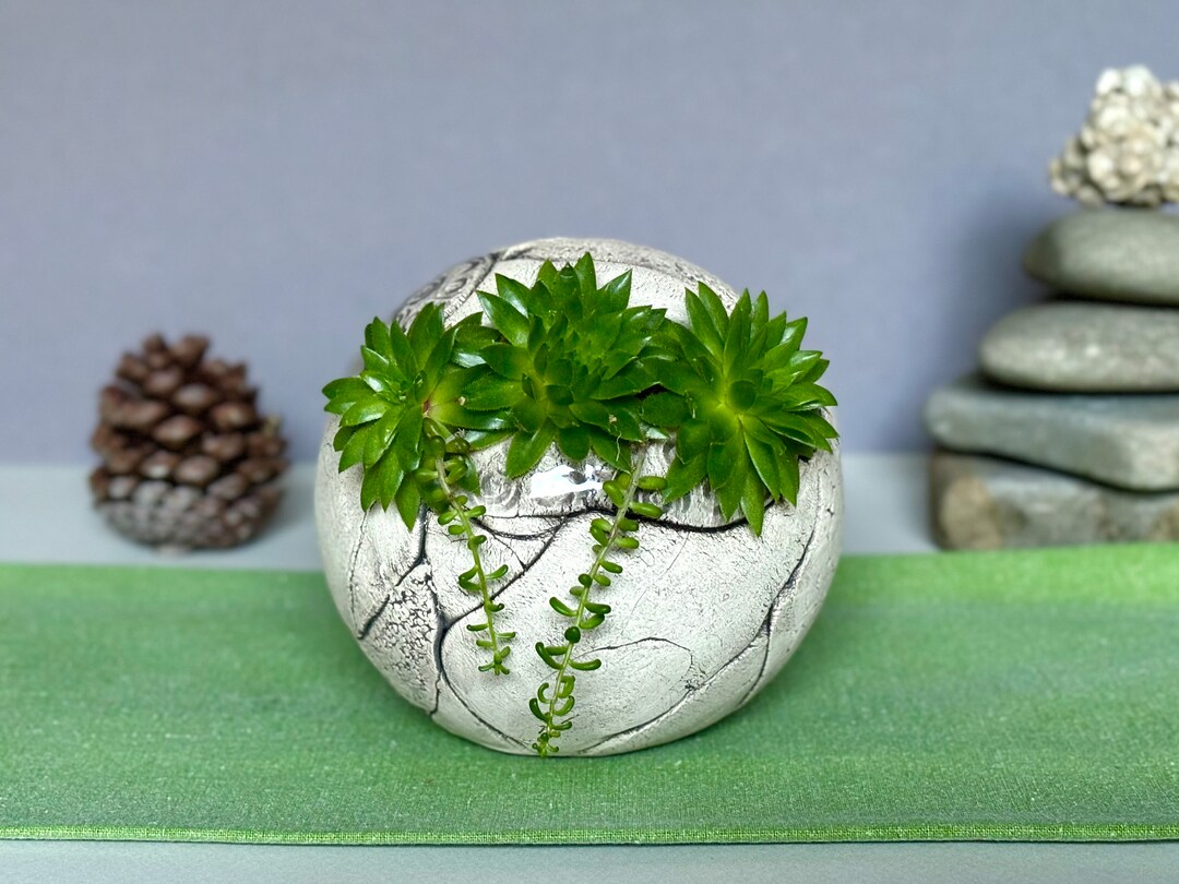 Medium Ceramic Planter Unique Pot Succulent Pot Cacti Flowers ...