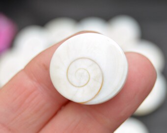 Cats eye shell | Etsy