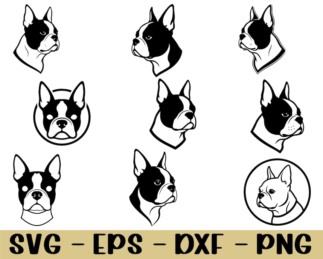 Boston Terrier Dog Face Svg, Dxf, Png - Etsy