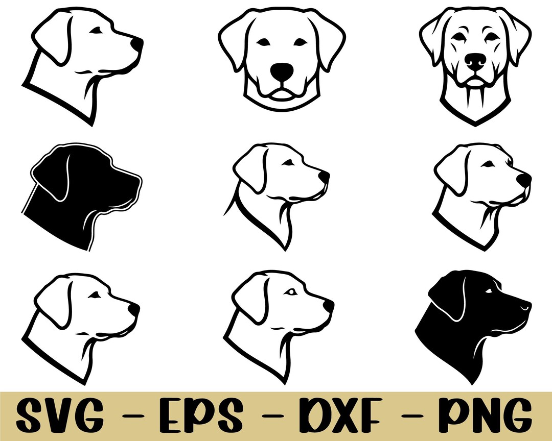 Labrador Retriever Dog Face Svg, Dxf, Png - Etsy