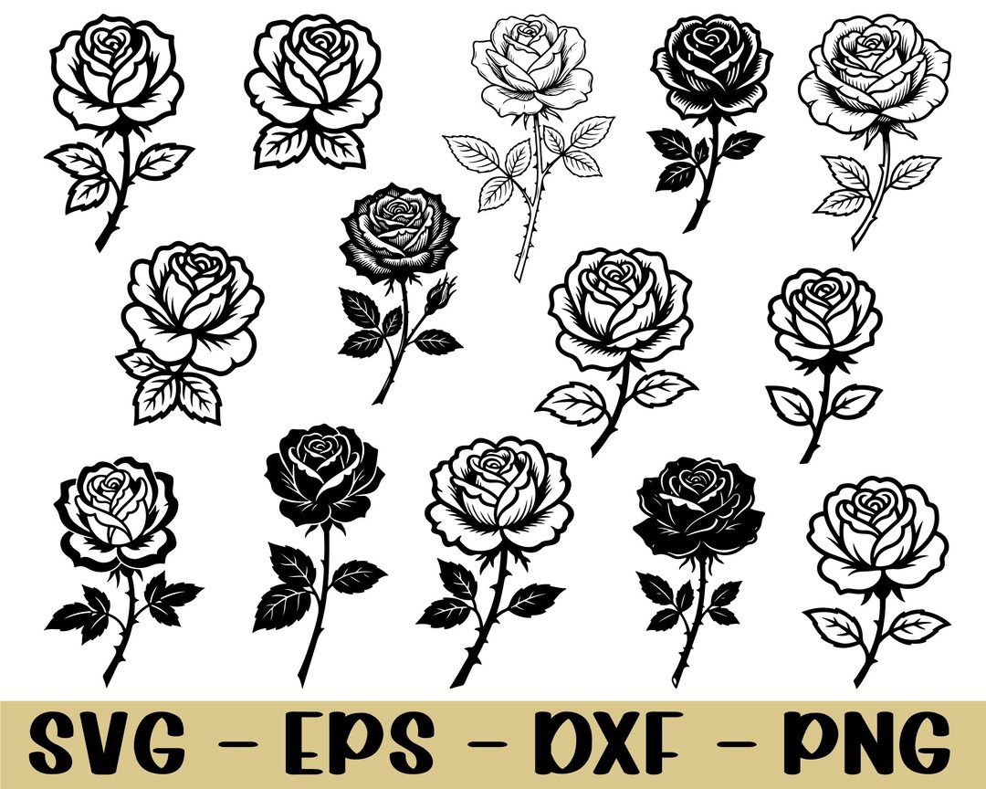 Flor de rosa SVG, silueta de rosa delineada, DXF, PNG - Etsy España