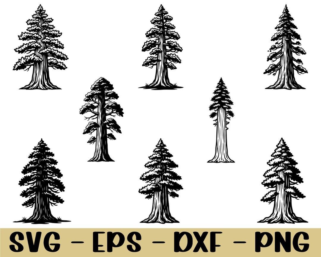 Redwood Tree Svg, Dxf, Png - Etsy
