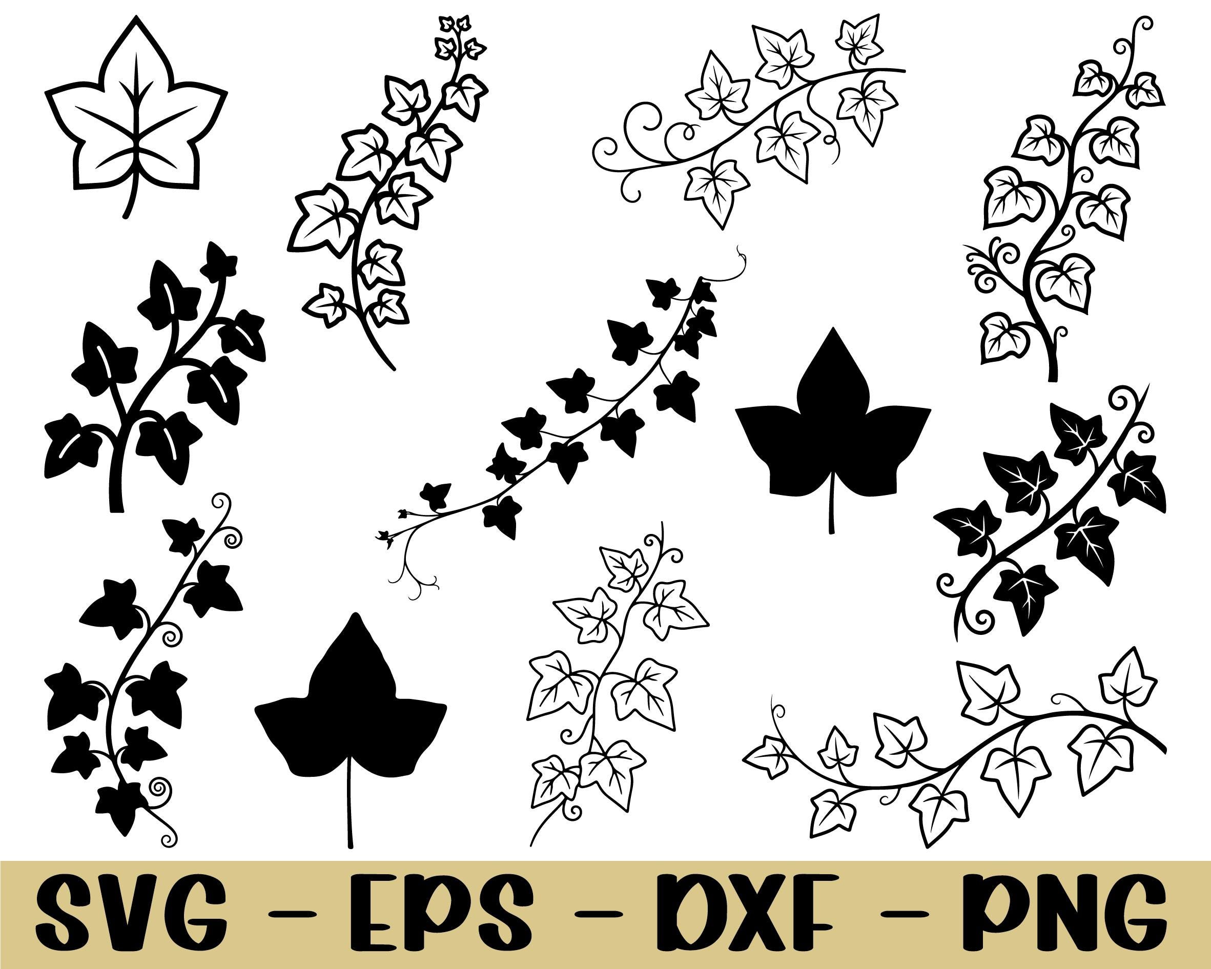 Ivy Leaf Svg, Ivy Branch Silhouette, Dxf, Png - Etsy