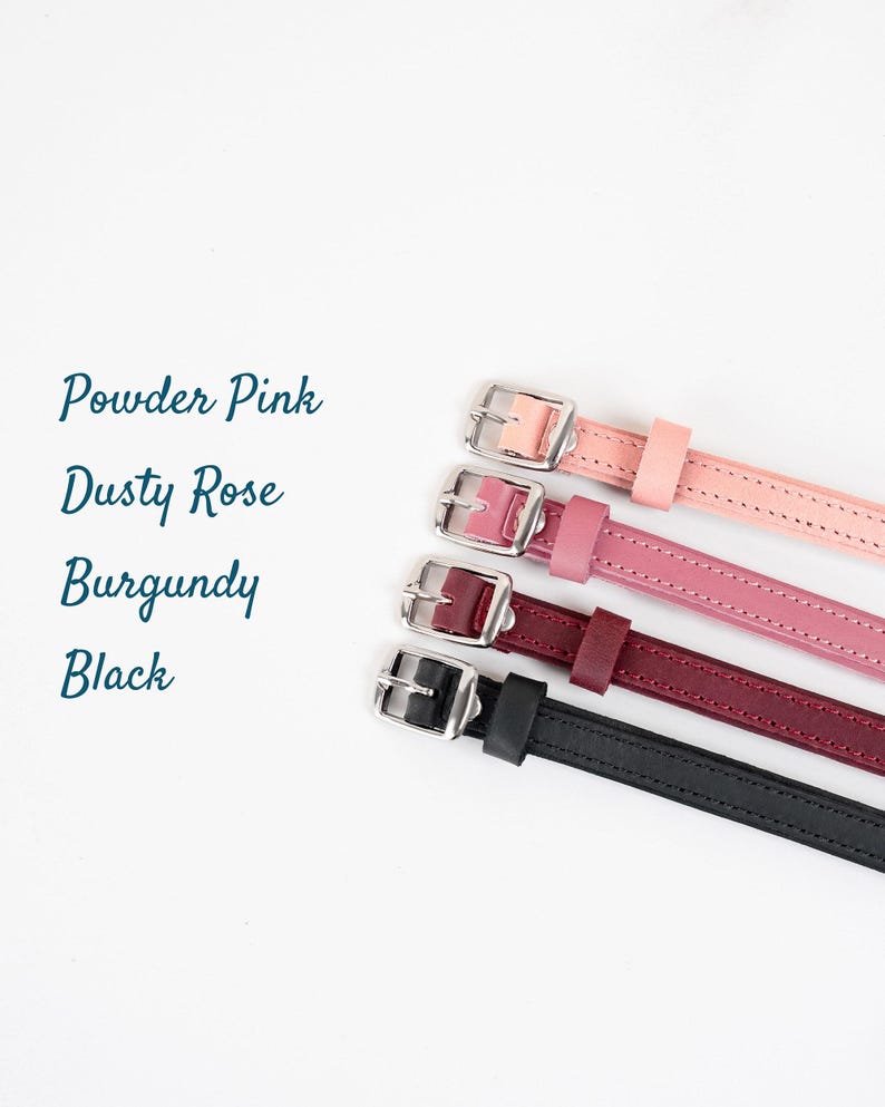 Blue/teal Personalized Cat Collar — Leather Collar With Engraved ...