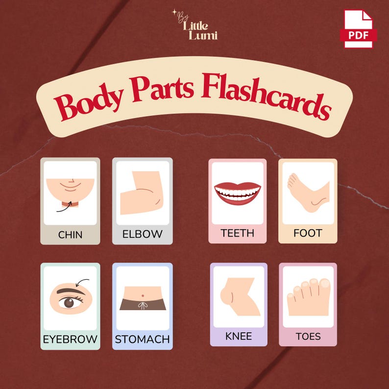 Montessori Body Parts Flashcards: Printable Learning Cards (digital ...