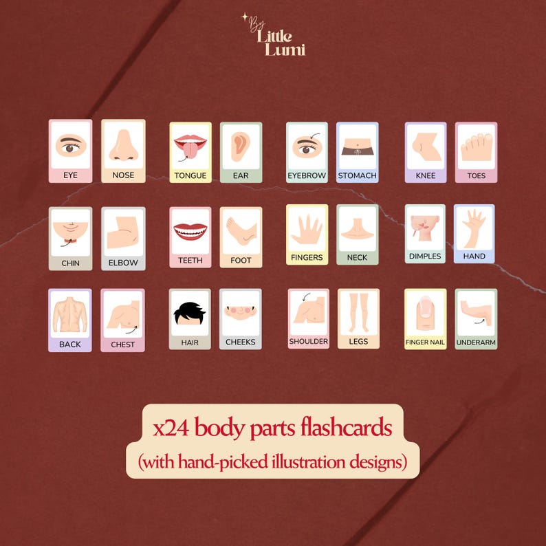 Montessori Body Parts Flashcards: Printable Learning Cards (digital ...